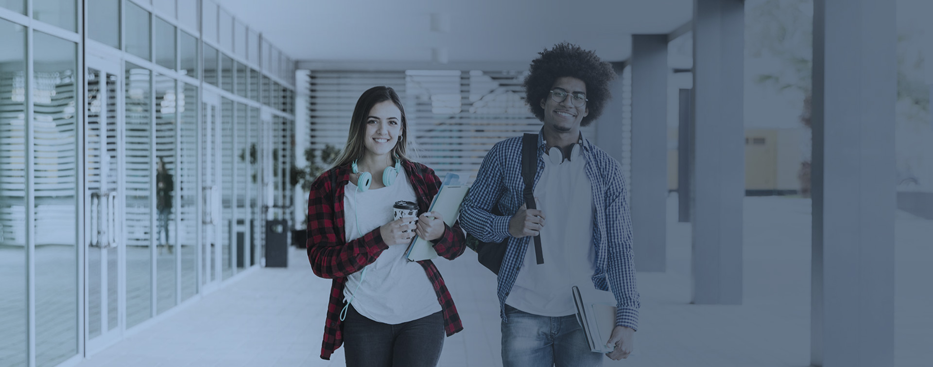 vibranteducational.com